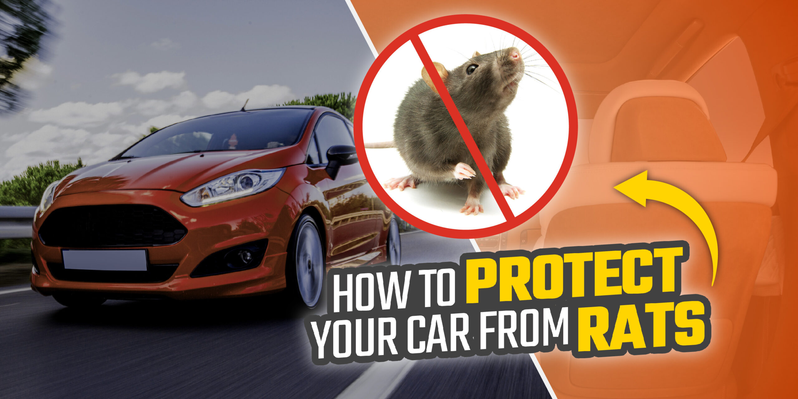 THE PROBLEM OF RATS IN THE CAR